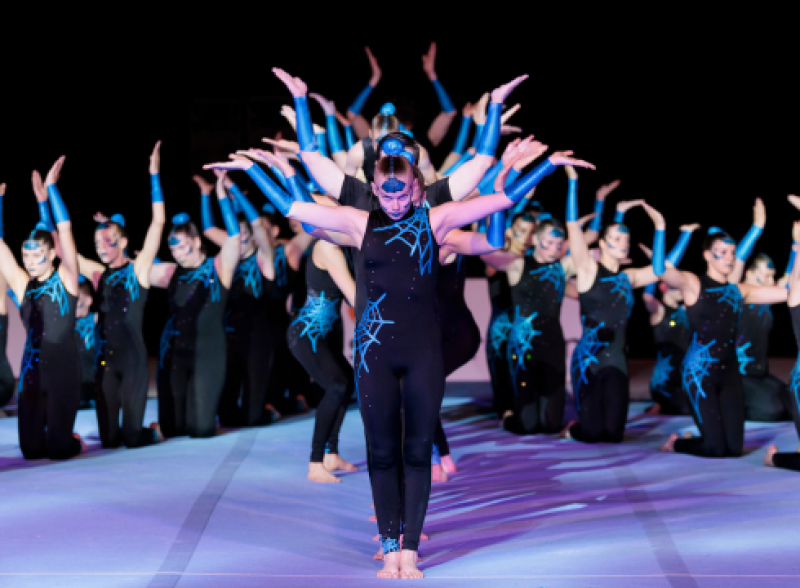 Sfeer, spanning en spectaculaire optredens op Best Show Teams Finale ...